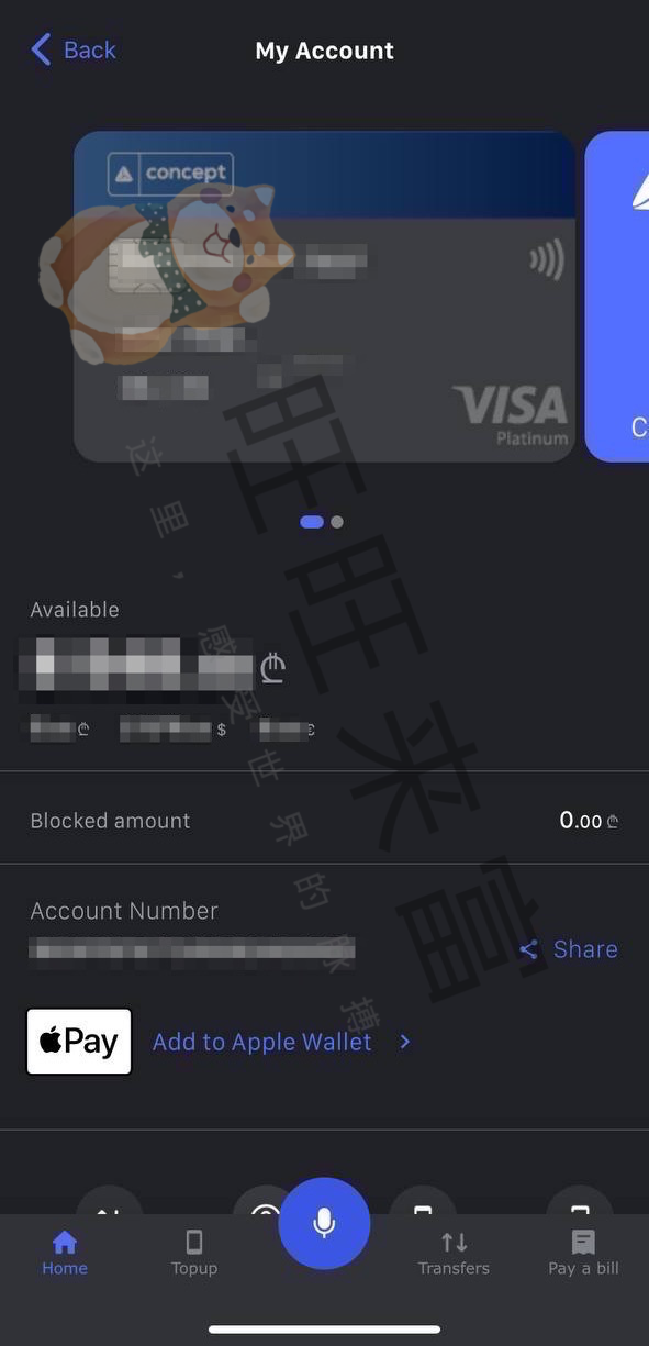 2025 年｜格鲁吉亚银行开户，3 大行 BOG/TBC/TERABANK 网银，多图预警 - 旺旺来富